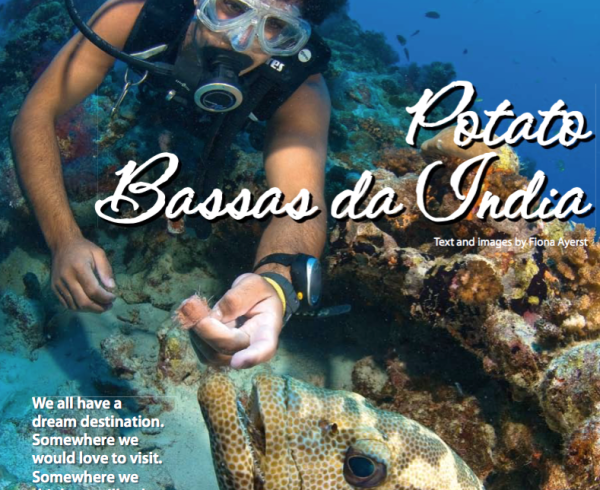 Dive trip to Bassas da India - Fiona Ayerst Photography